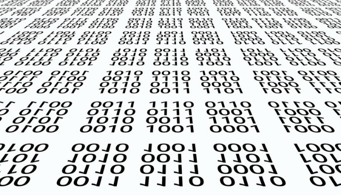 Book Entry Shares Share Data book-entry-shares-share-data